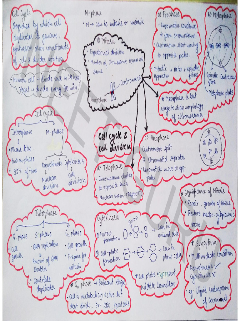 Chap 10 Cell Cycle and Cell Division Class 11 Mind Map NEET Aiims ...
