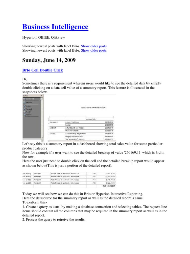 Brio Ir | PDF | Databases | Information Retrieval