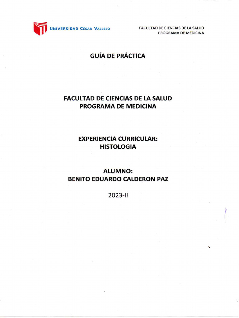Práctica 1 B | PDF