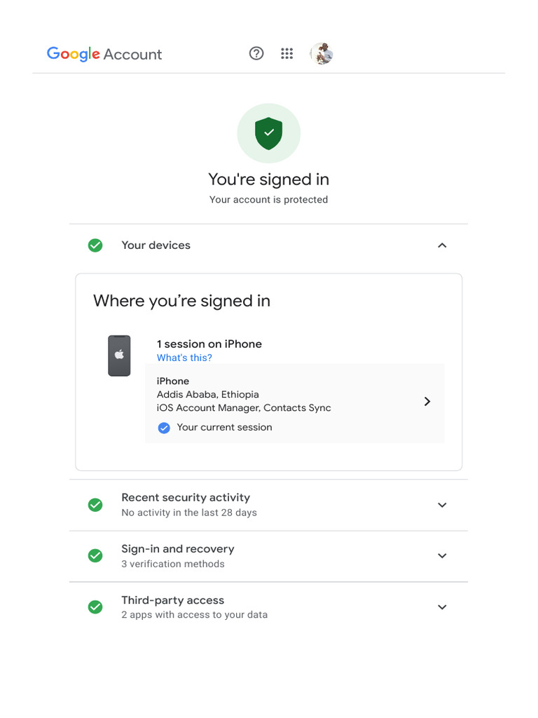 Security Check Up | PDF