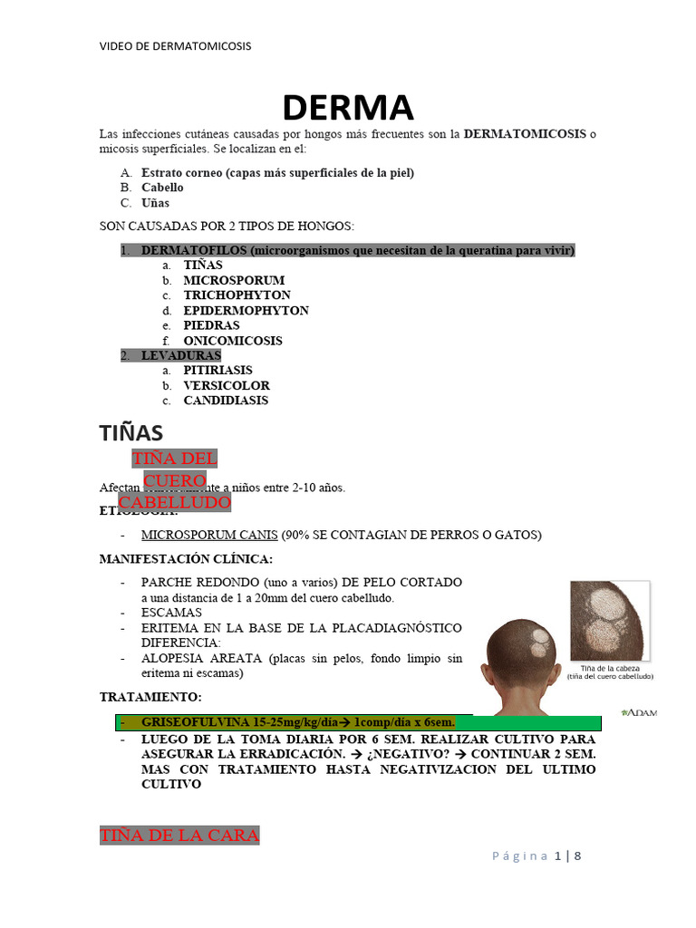 DERMATOMICOSIS | PDF | Inmunología | Medicina