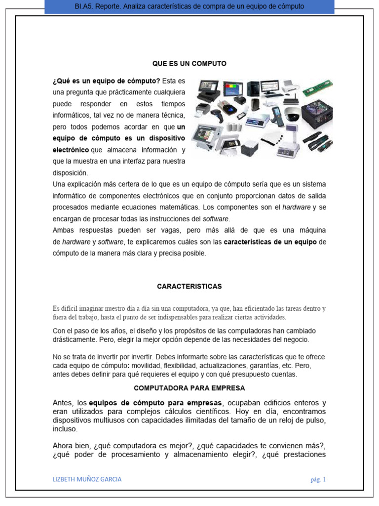 Lizbeth | PDF | Hardware de la computadora | Ordenador portátil