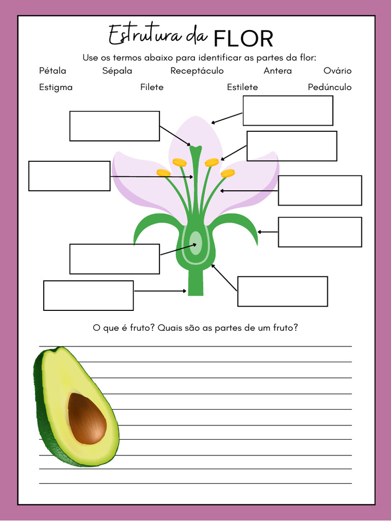 Estrutura Da Flor | PDF