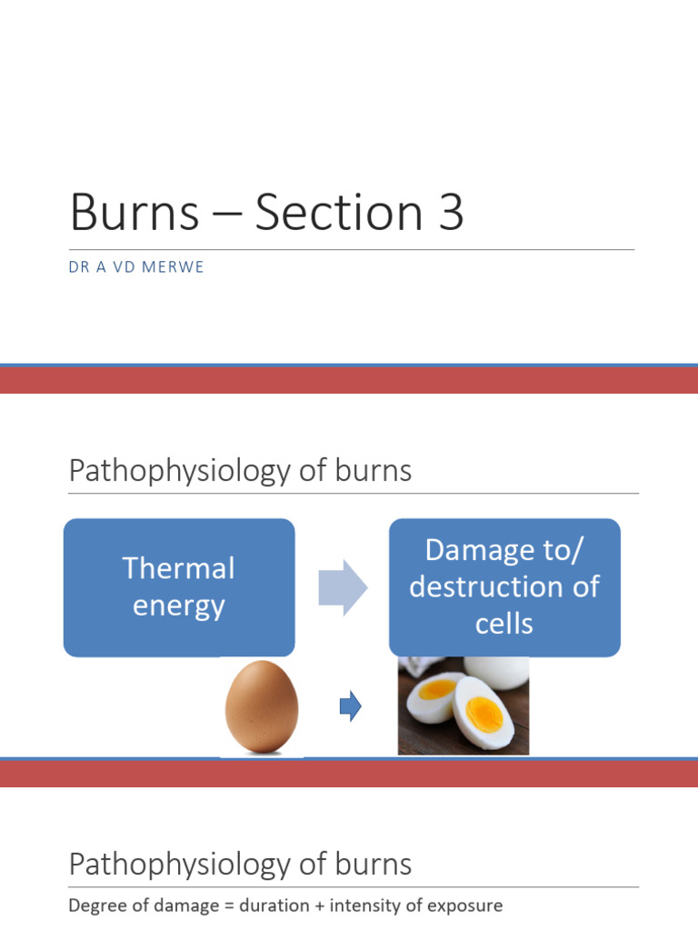 Pathophysiology Burns (Physiotherapy) | PDF | Burn | Healing