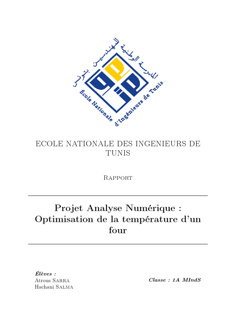 Analyse Numerique | PDF