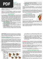 Anatomía Del Colédoco Pietrafita | PDF | Vesícula biliar ...