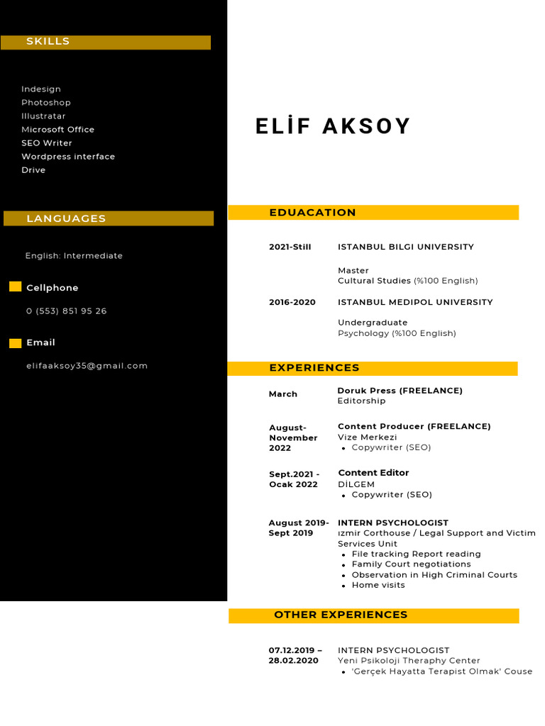 Elif Aksoy - Ozgecmis-3 | PDF