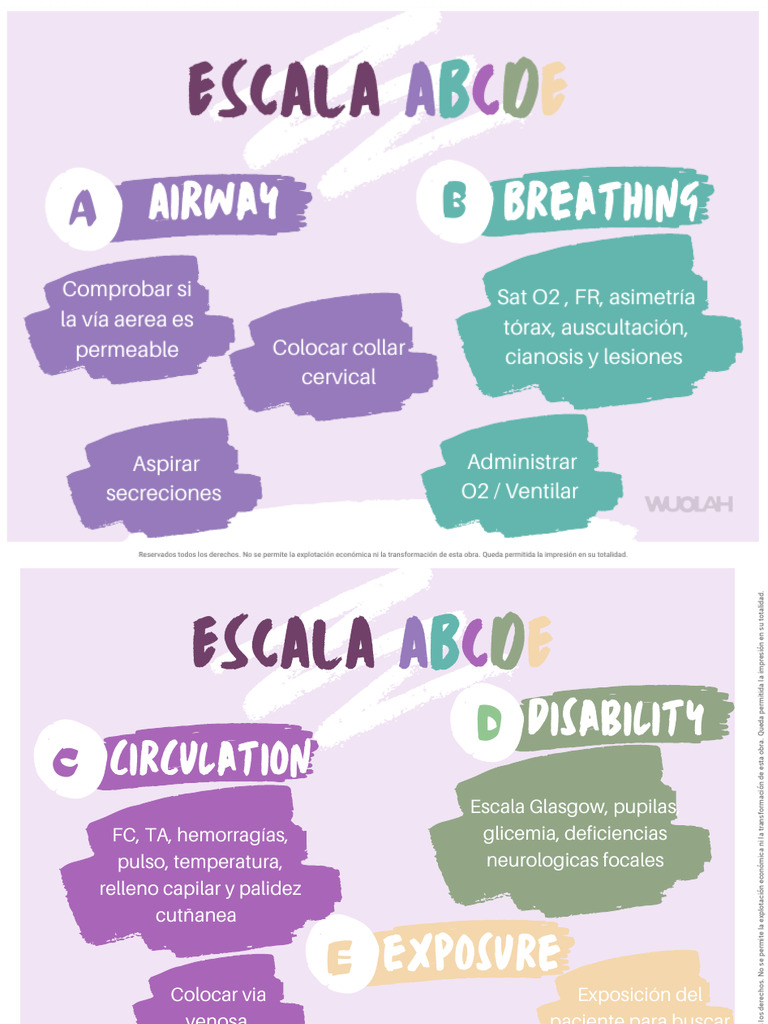 Wuolah Free ESCALA ABCDE | PDF