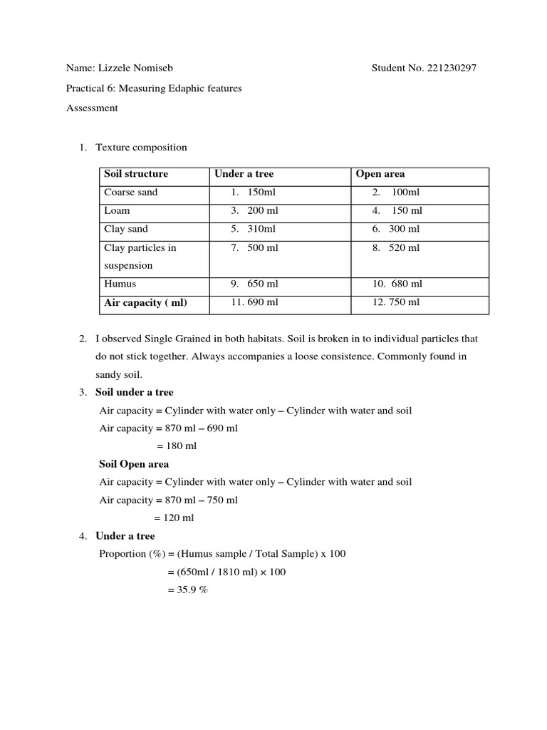 Practical 6 Pdf