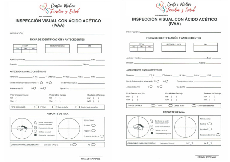 Formato de Ivaa | PDF