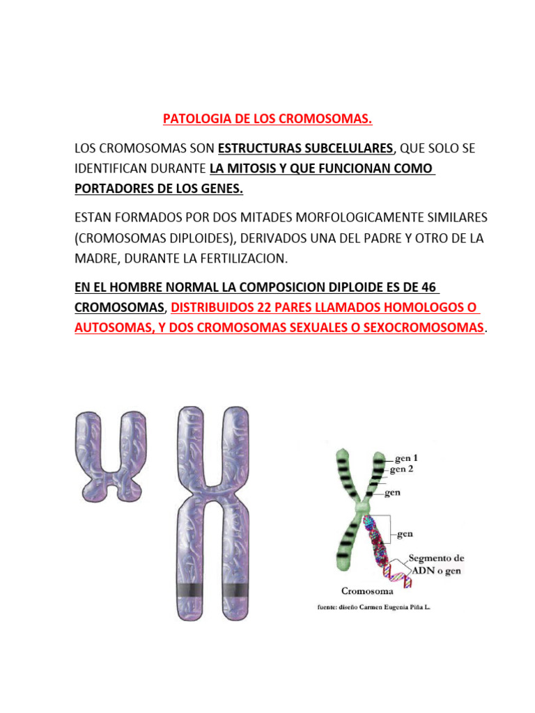 Patologia de Los Cromosomas | PDF