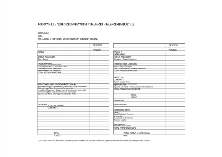 PDF Formato 31 Libro de Inventario y Balances Balance General | PDF ...