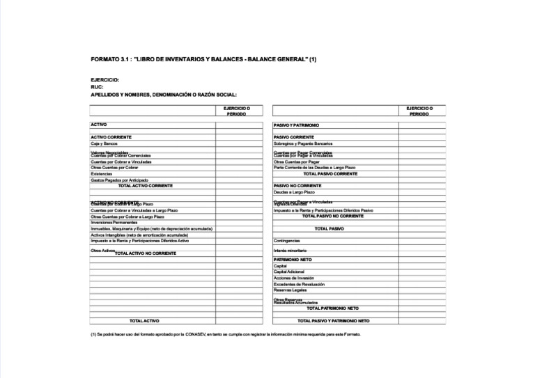 PDF Formato 31 Libro de Inventario y Balances Balance General ...