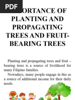 Non Bearing Fruit Trees | PDF | Trees | Botany