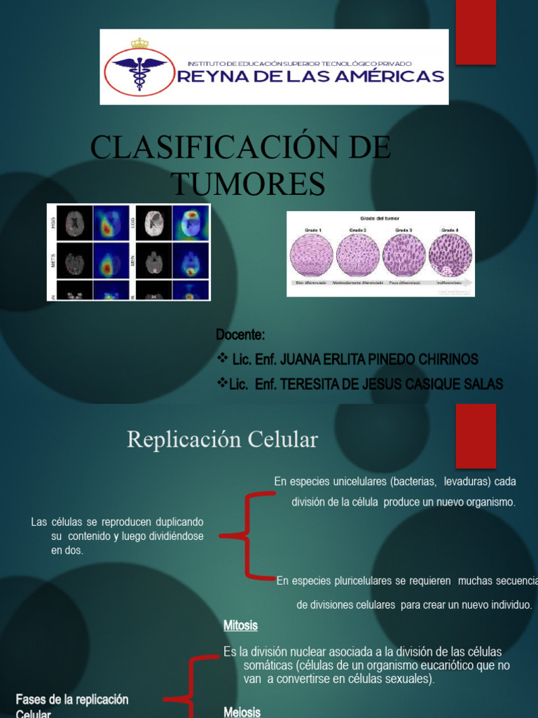 Sem 1 Clasificacion Histologica de Los Tumores | PDF | Cáncer | Neoplasias