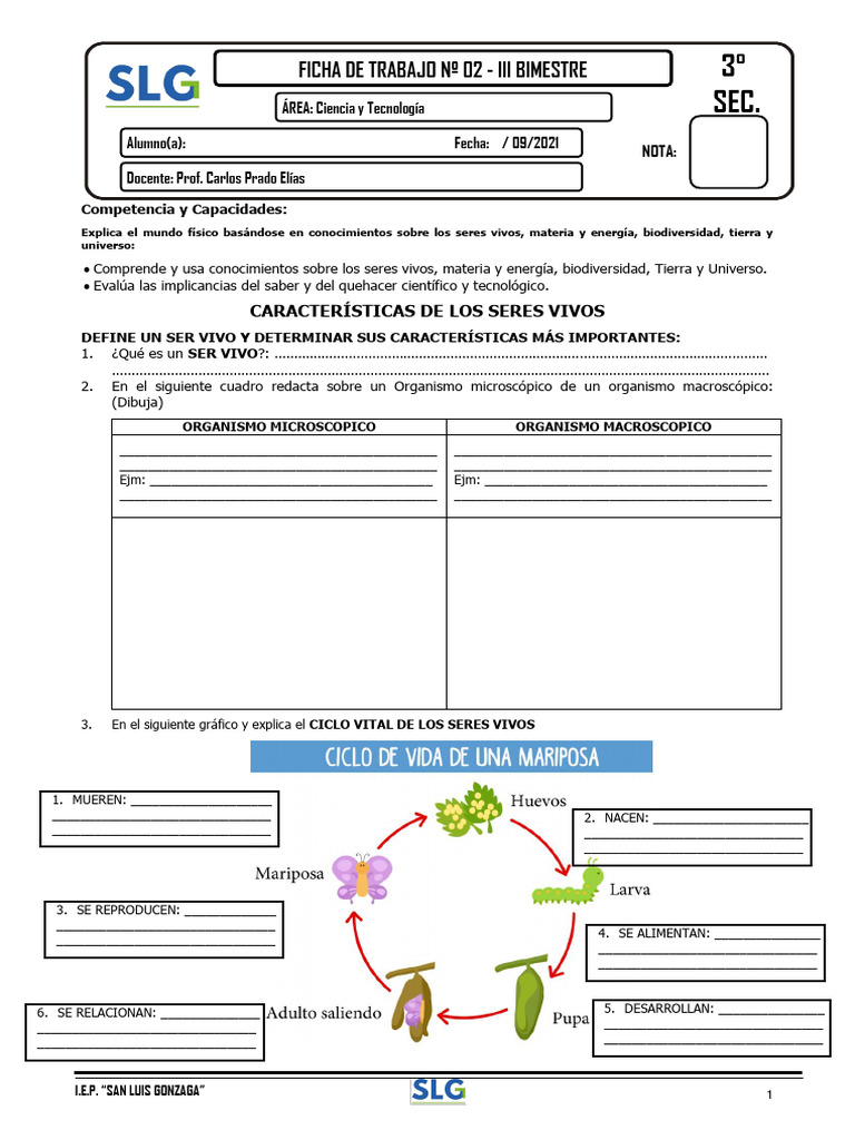 Ficha de Trabajo - Características de Los Seres Vivos | PDF | Naturaleza