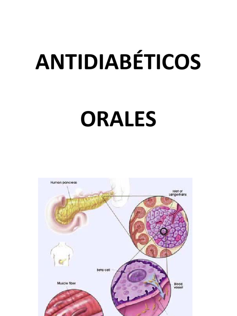 Antidiabeticos Orales 2023 | PDF | Insulina | Hipoglucemia