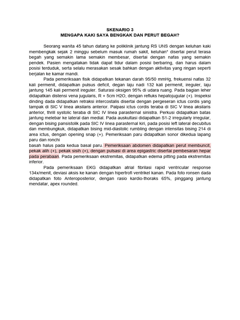 Scribber Skenario 3 | PDF