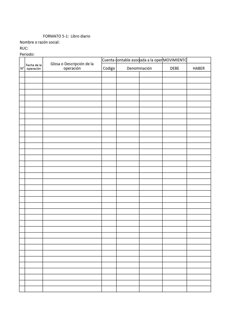 Formato Libro Diario | PDF
