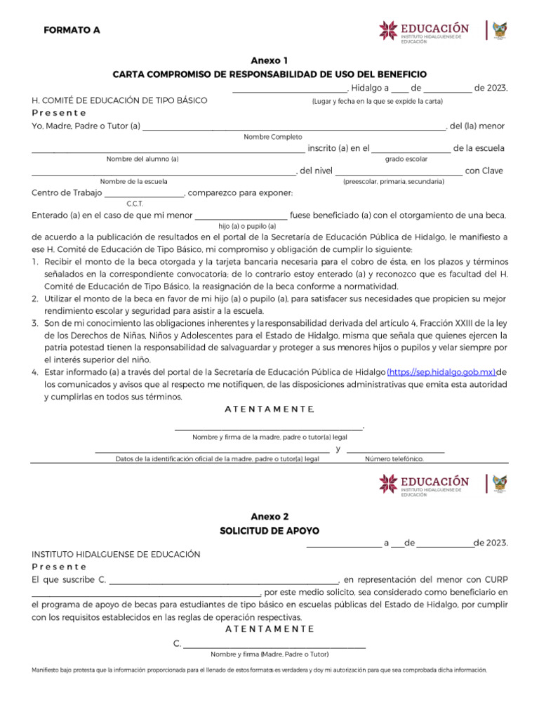 Formato A | PDF