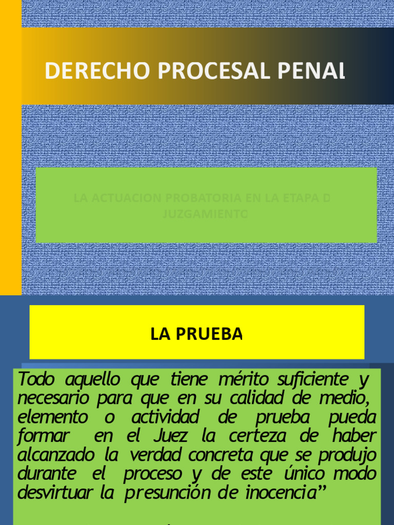 La Prueba en El Juicio Oral | PDF