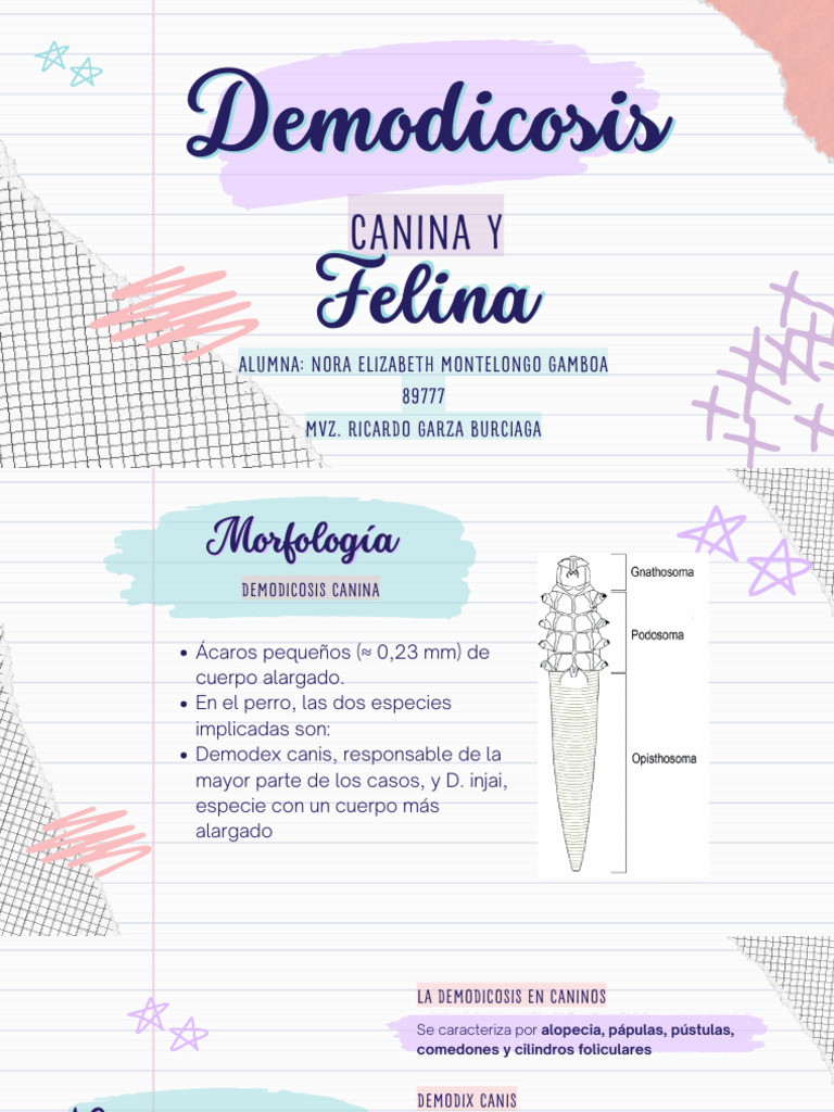 Demodicosis Felina y Canina NORA | PDF | Especialidades Medicas ...
