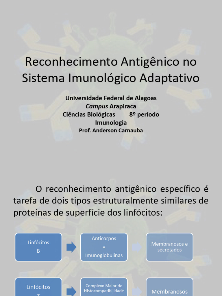 Aula 05 - Reconhecimento Antigênico No Sistema Imunológico Adaptativo | PDF