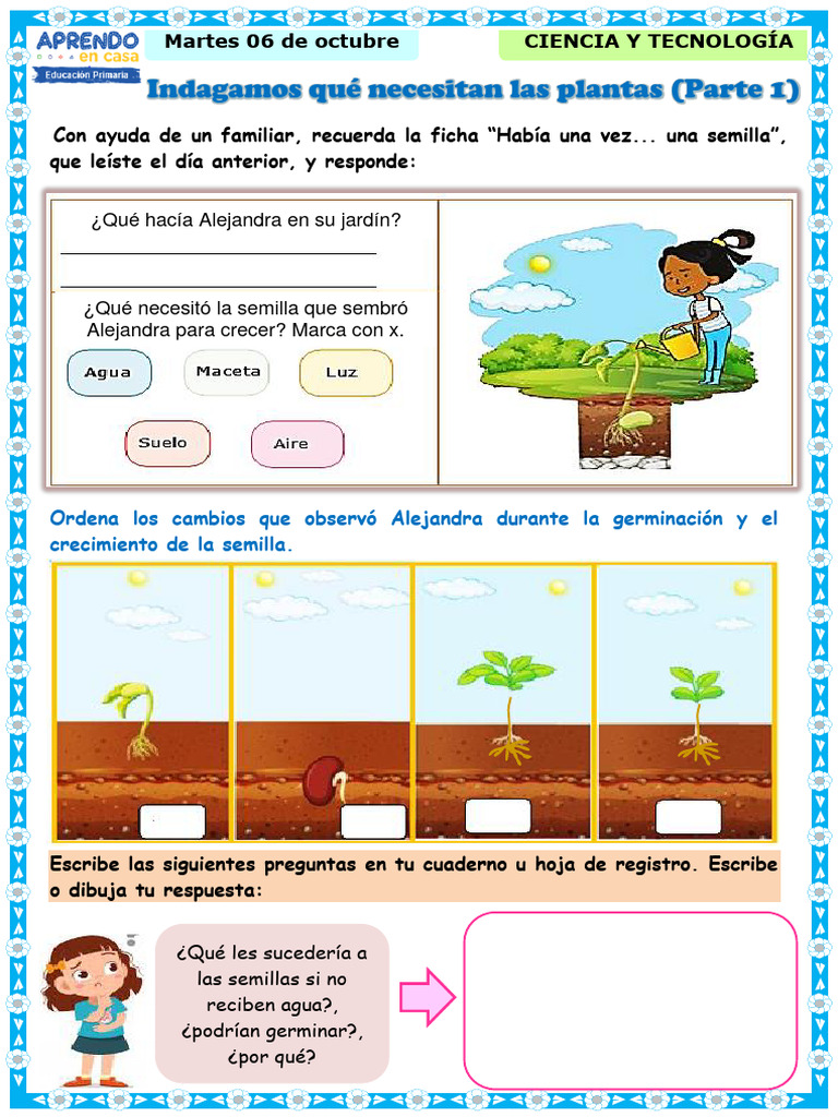 Indagamos qué necesitan las plantas parte 1 | PDF | Semilla | Germinación