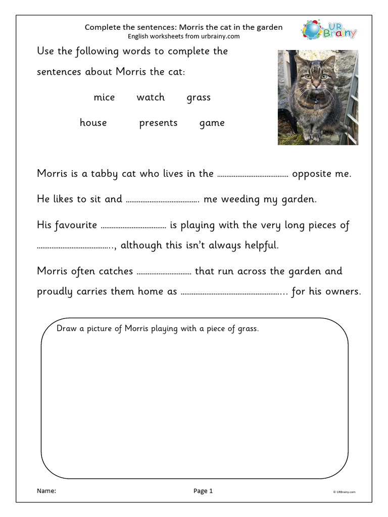 Complete The Sentences Morristhe Cat in The Garden | PDF | Cats | Felids