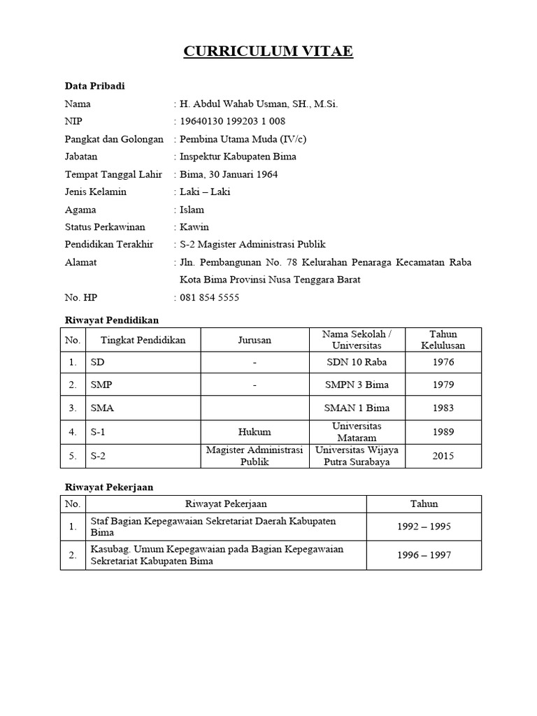 CURRICULUM VITAE Inspektur 2020 | PDF