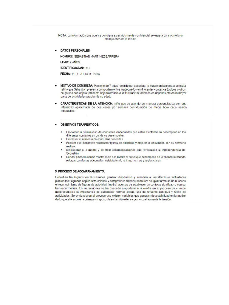 Ejemplo de Informe | PDF