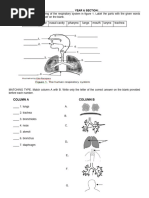 Body Systems Matching Worksheet | PDF | Human Body | Animal Anatomy