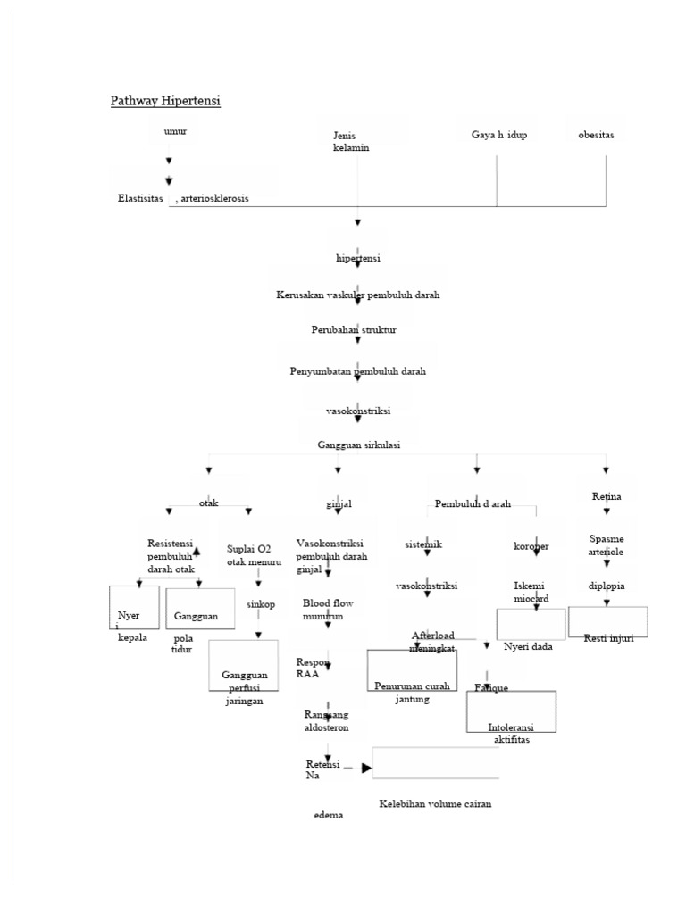 PDF Pathway Hipertensi | PDF