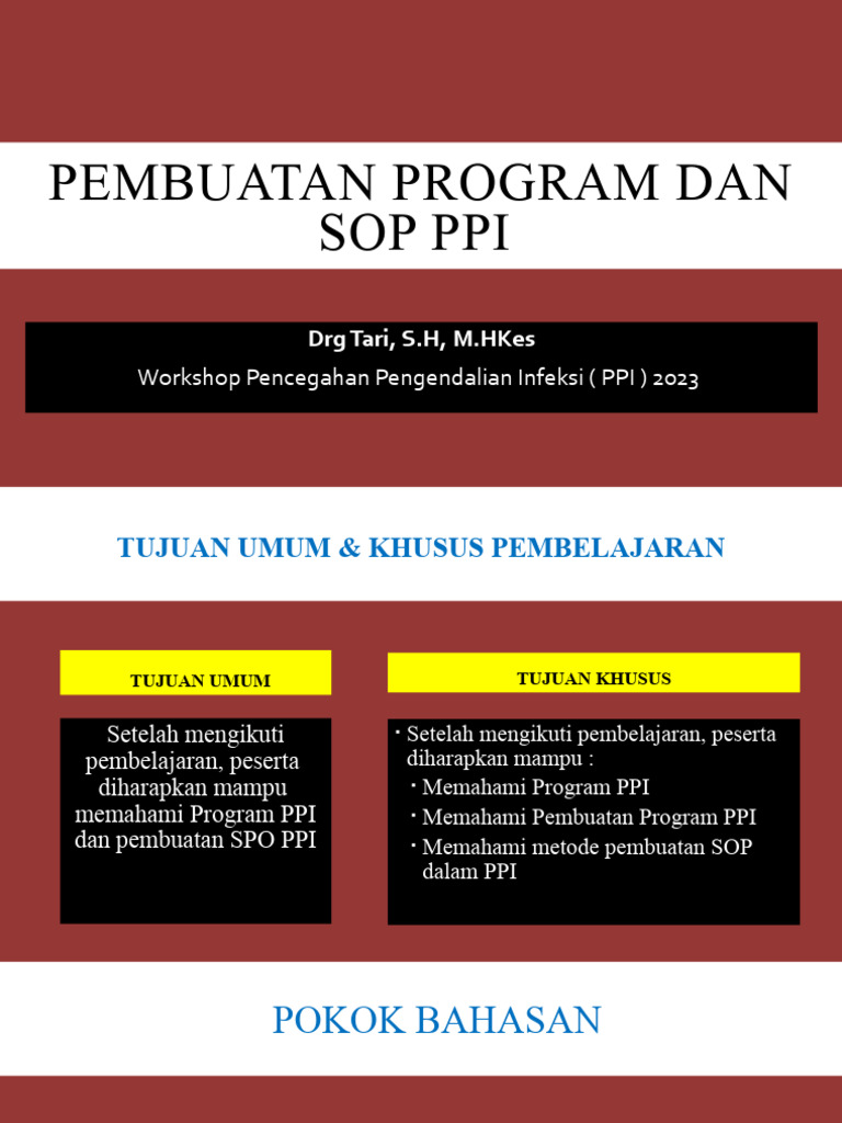 Ppi Pembuatan Program Dan Sop 2023 | PDF