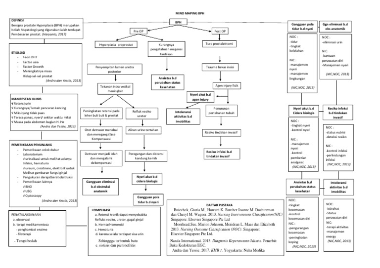 MIND MAPING BPH Fix | PDF