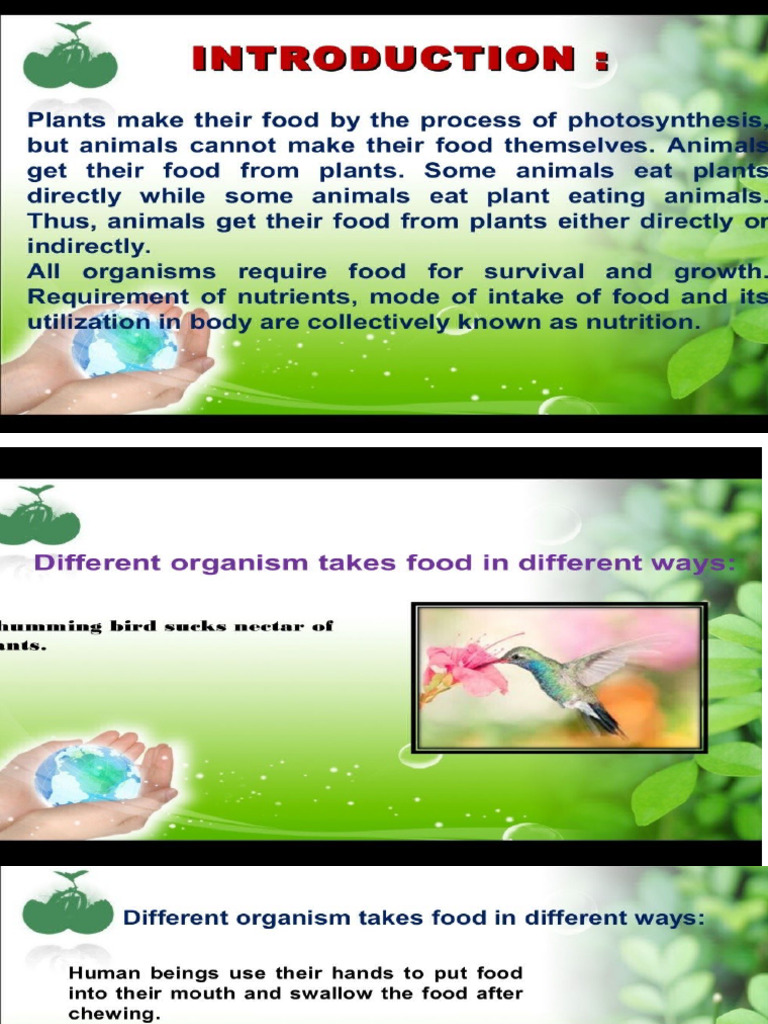 Nutrition in Animals | PDF