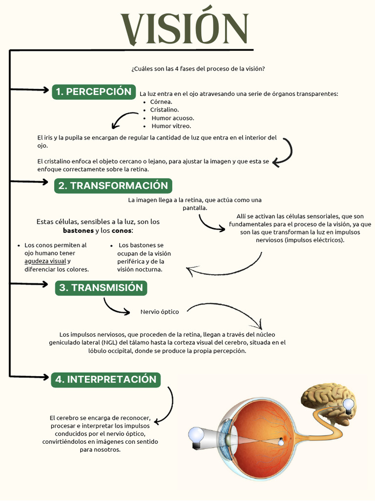 Infografias Val | PDF | Percepción visual | Escuchando