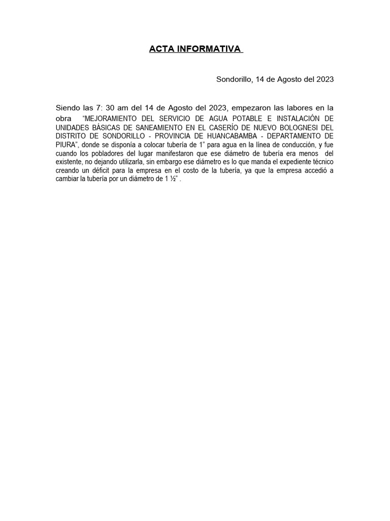Acta Informativa | PDF