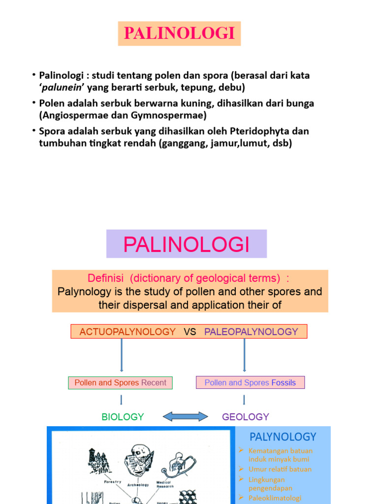 PALYNOLOGY For Student | PDF | Pollen | Earth Sciences