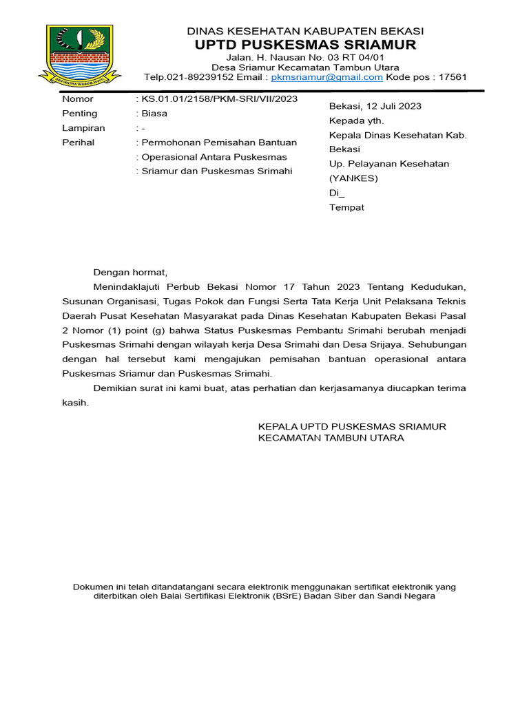 Surat Data Fasyankes | PDF