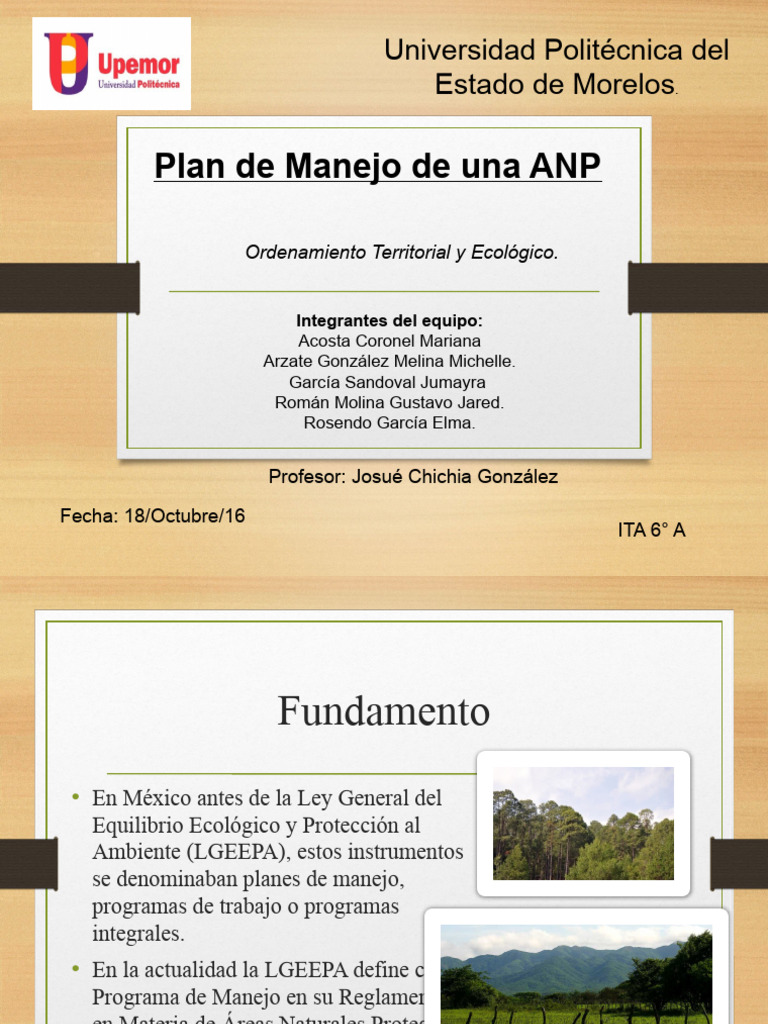 Plan de Manejo de Una ANP 2 | PDF | Planificación | Evaluación