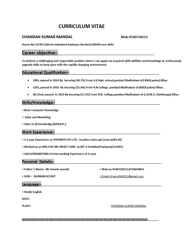 Chandan Kumar Mandal's CV | PDF