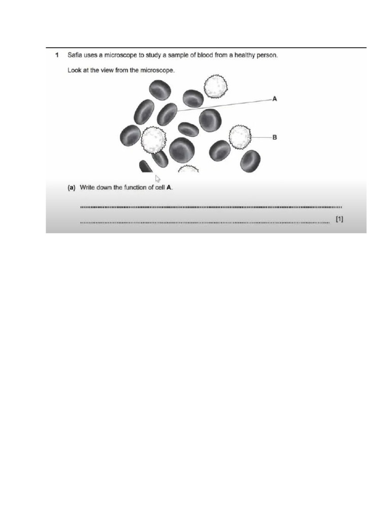 Science - Paper 2 | PDF