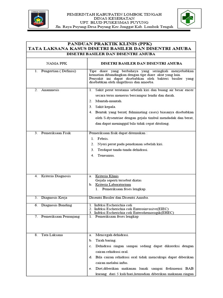PPK Disentri Basiler Dan Amoeba | PDF | Pengembangan Diri | Kesehatan Holistik
