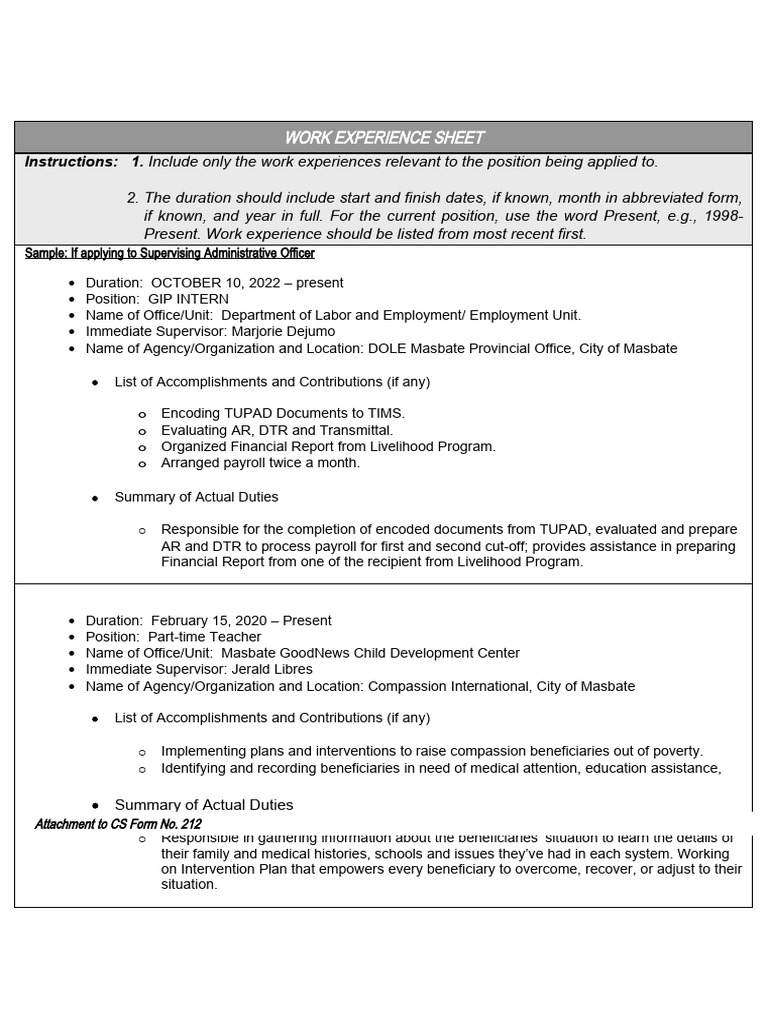 DOLE CS Form No. 212 Attachment Work Experience Sheet 1 | PDF ...