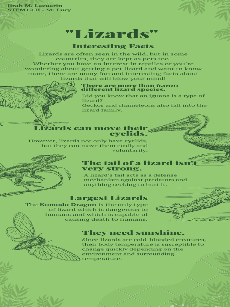Green Natural Exploring The Diversity of The Animal Kingdom Infographic ...