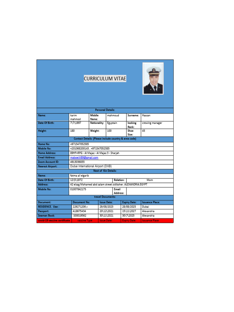 CV Karim Elsherbini | PDF