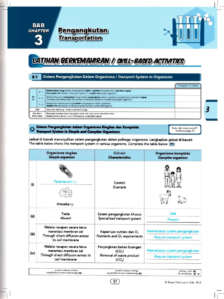 T3 SN Modul Nilam Bab 3 | PDF