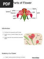 Parts of A Flower and Its Functions | PDF | Flowers | Petal