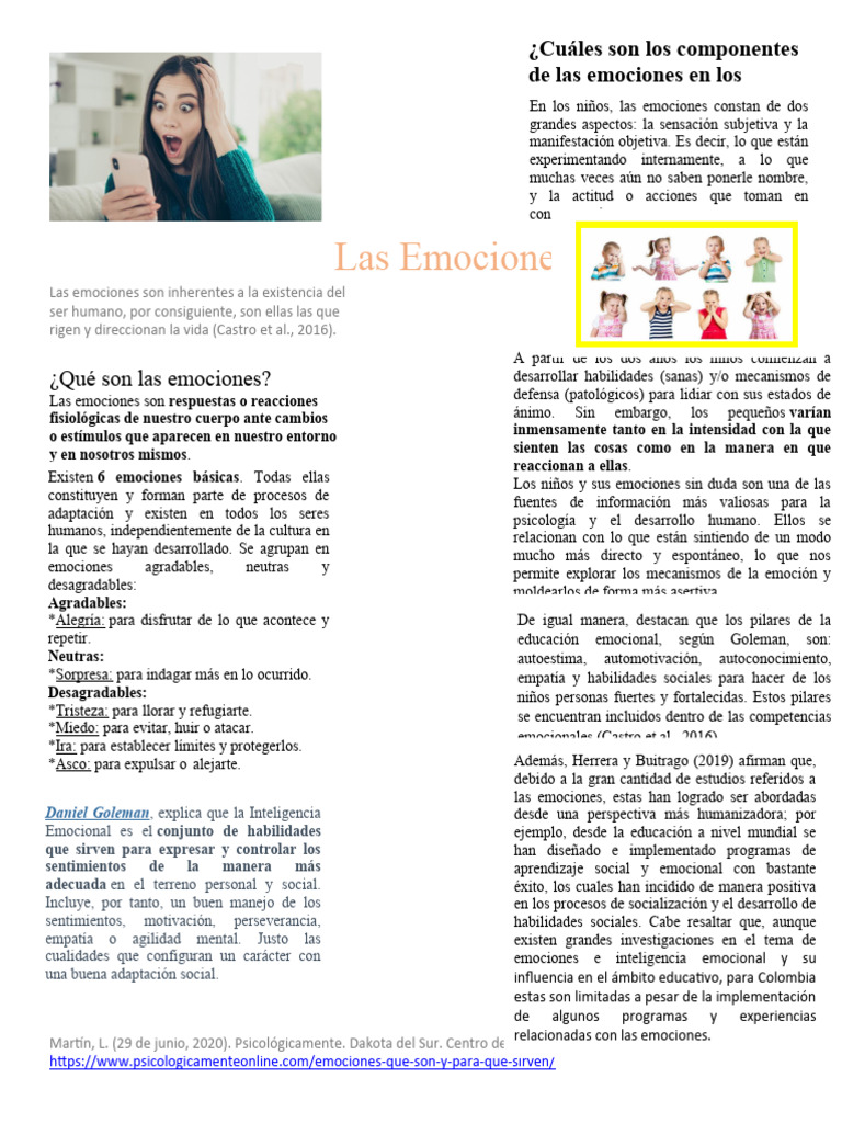 Revista de Las Emociones | PDF | Las emociones | Sicología